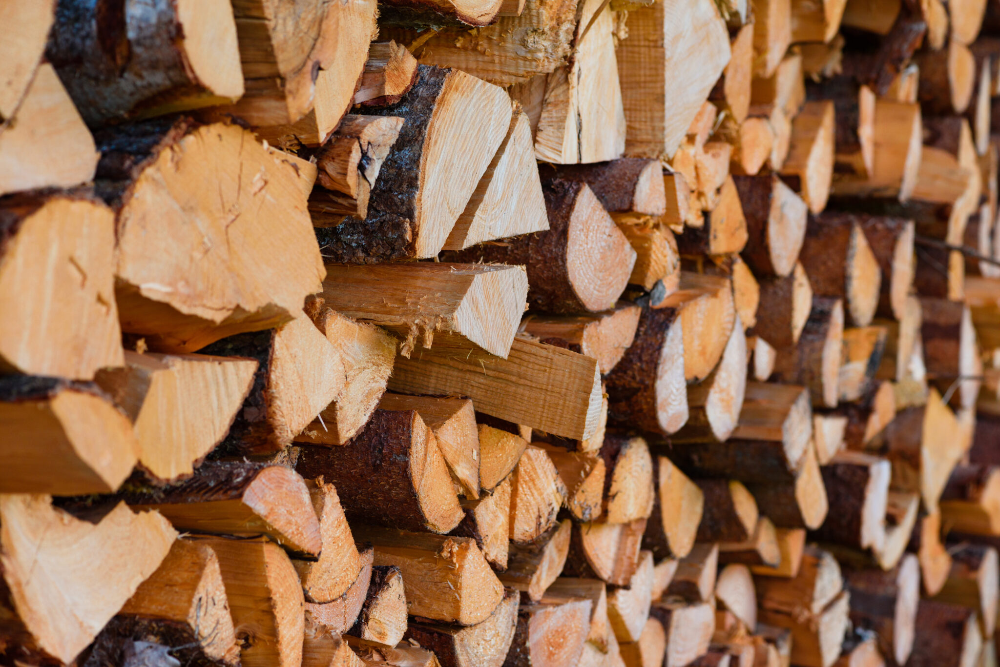 How to Dry Firewood: The Ultimate Guide | Stacked Firewood Delivery